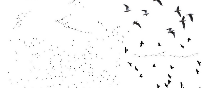 Python优化算法包Scikit-Opt – 标点符